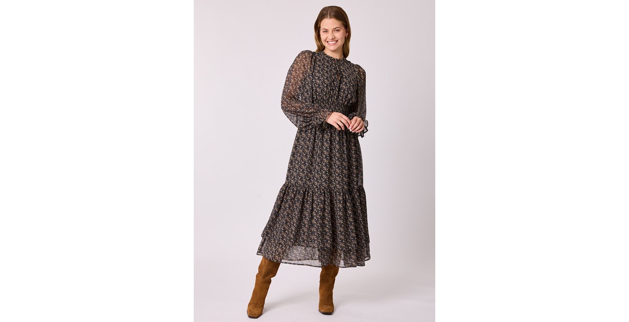 Celine kjole Meteor | VIC